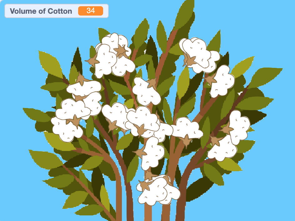 Projects | Code Club Australia