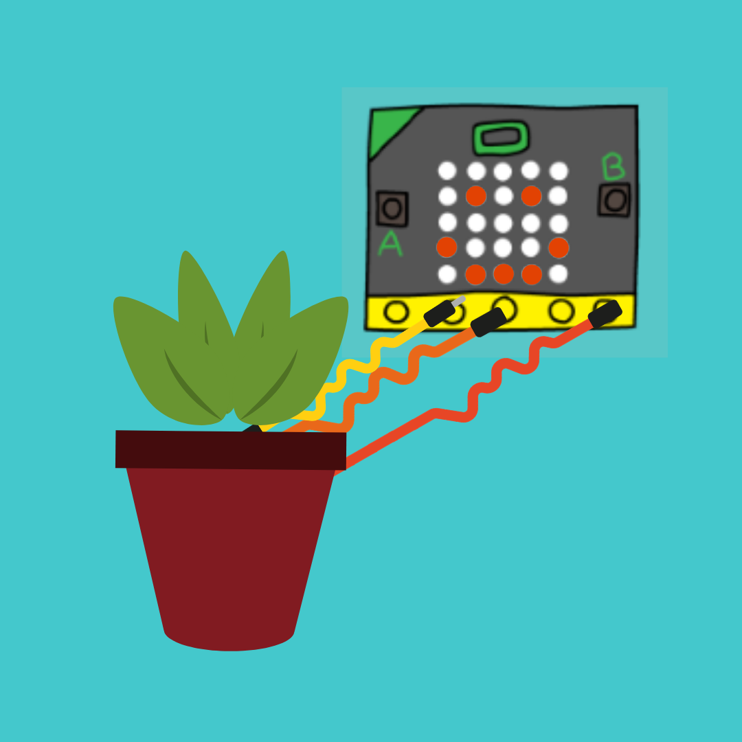 Moisture Sensor | Code Club Australia